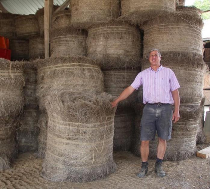 Stéphane Vacher : « le lin d’hiver va faire son entrée dans le Vexin ...