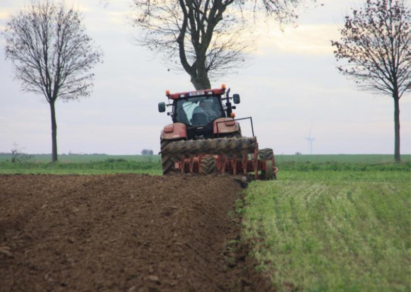 BCAE 7 : rotation des cultures. | Eure Agricole