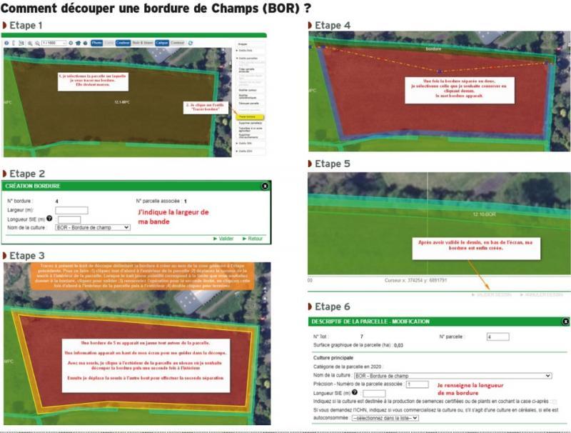 PAC 2022 : comment déclarer les ZNT ? | Eure Agricole