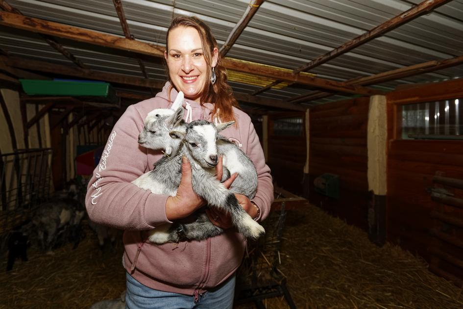 La passion pour les yeux bleus et les toisons grises. | Eure Agricole