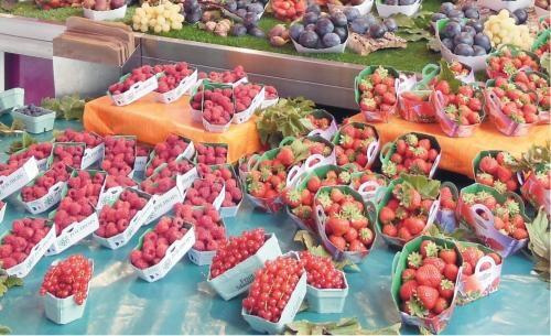 Focus sur les petits fruits rouges | Réussir fruits & légumes