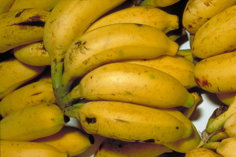 Bananes | Un marché équilibré | Réussir fruits & légumes