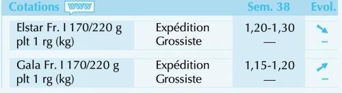 Pomme | Recul des prix | Réussir fruits & légumes