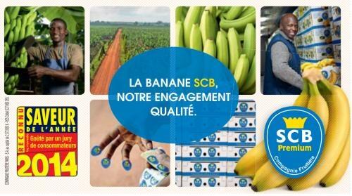 Bananes | Les cotations | Réussir fruits & légumes