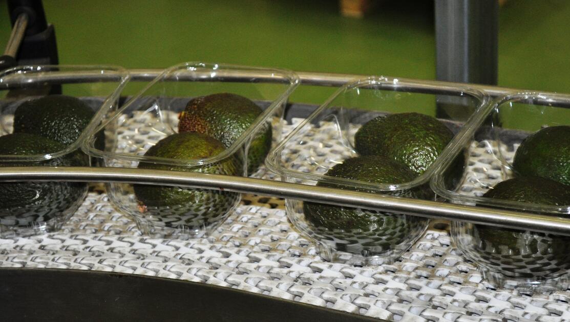 Cotations : tendances et perspectives de la semaine 21 | Marché de l ...