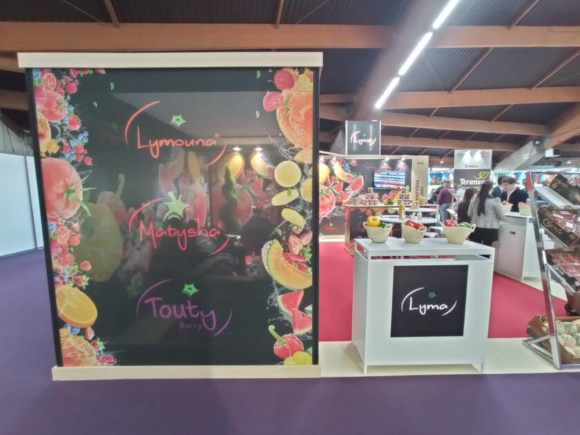 Maroc | [Medfel 2022] : Les petits fruits rouges pour Touty Berry, la ...