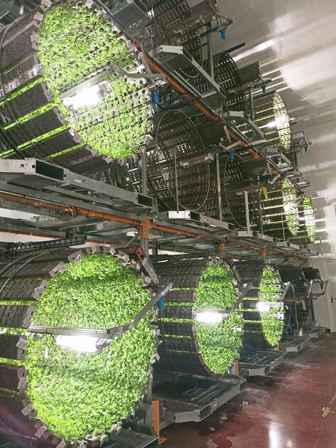 Bouches-du-Rhône : une ferme verticale teste la "géoponie rotative ...