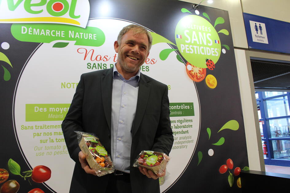 Bretagne : Savéol lance « Savéol Energies Nouvelles » | Réussir fruits ...