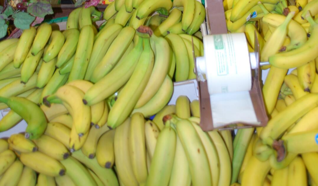 Banane : des stocks moins lourds | Réussir fruits & légumes