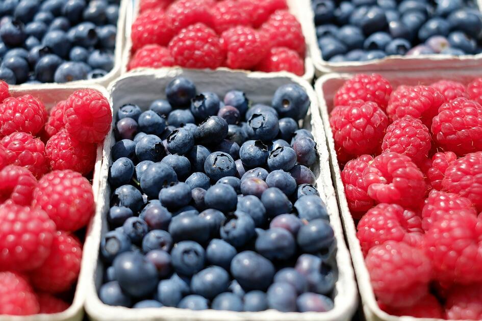 Etats-Unis : les petits fruits rouges tirent le marché bio | Réussir ...