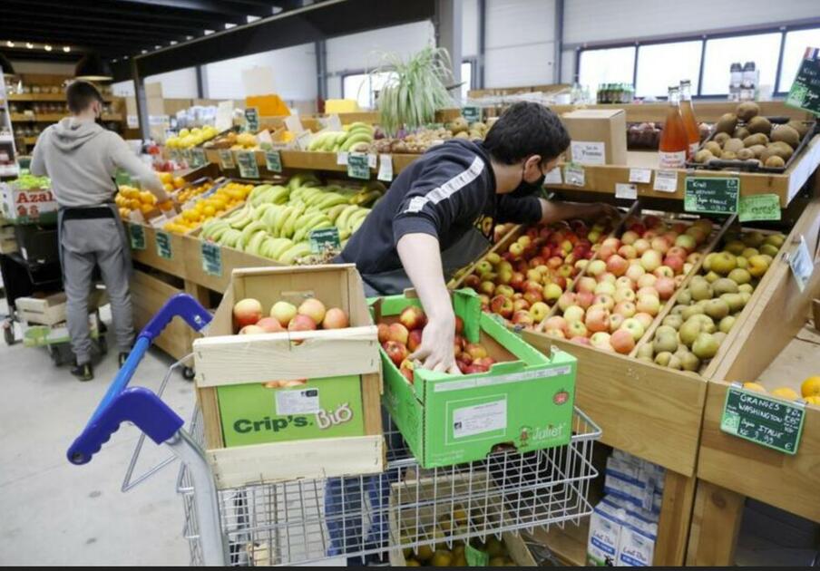 Les ventes de fruits bio décrochent en 2022 | Réussir fruits & légumes