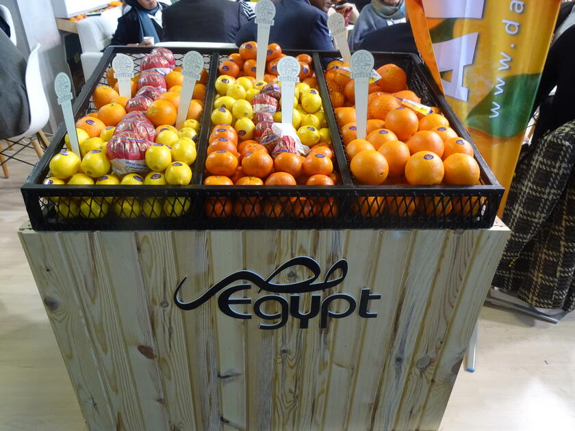 Fruit Logistica : pourquoi les agrumes égyptiens se tournent de plus en ...