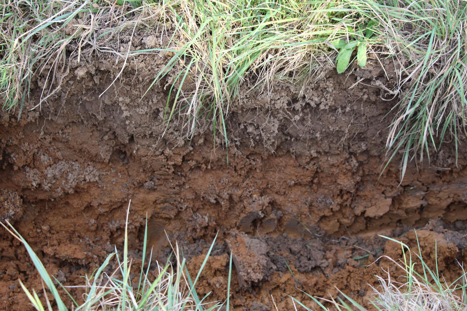 Trois tests simples pour évaluer son sol | Réussir fruits & légumes
