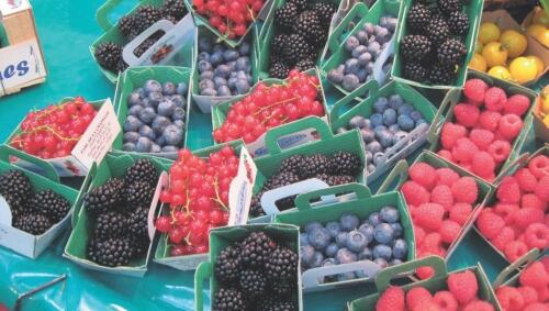 Univers fruits rouges | Les petits fruits rouges colorent les linéaires ...