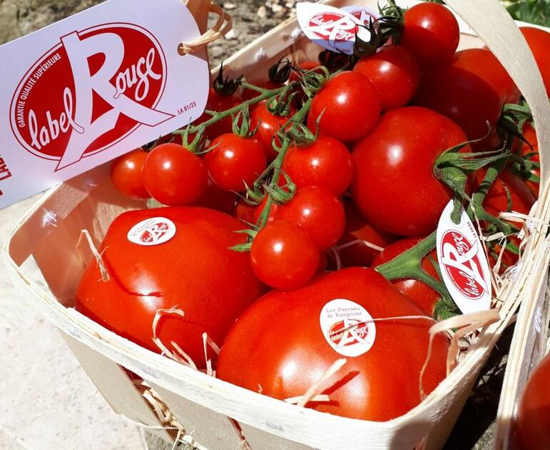 La première tomate Label Rouge officiellement lancée | Réussir fruits ...