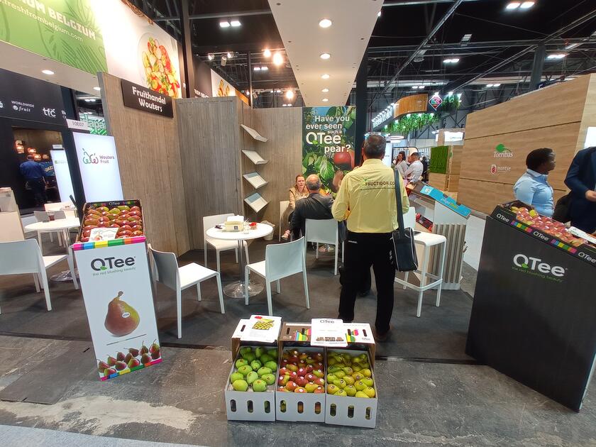 Poire | Fruit Attraction 2022 : Wouters Fruit parie sur QTee et Piqa ...
