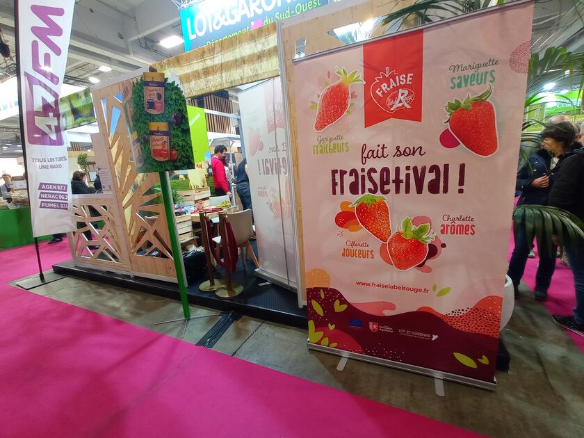 Salon de l’Agriculture : la fraise Label Rouge s’inquiète du pouvoir d ...