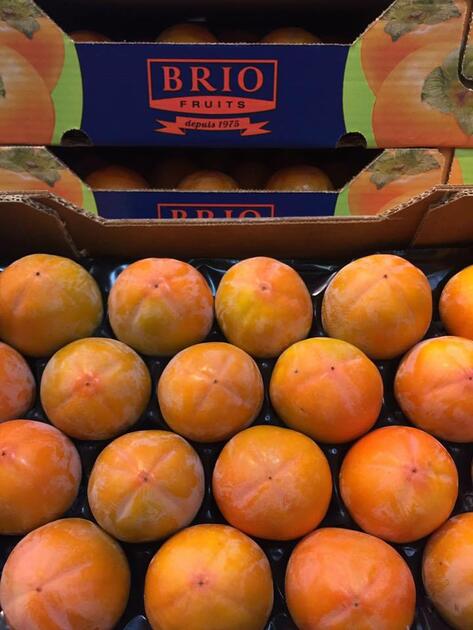 Après la grenade, Brio Fruits se lance sur le kaki | Réussir fruits ...