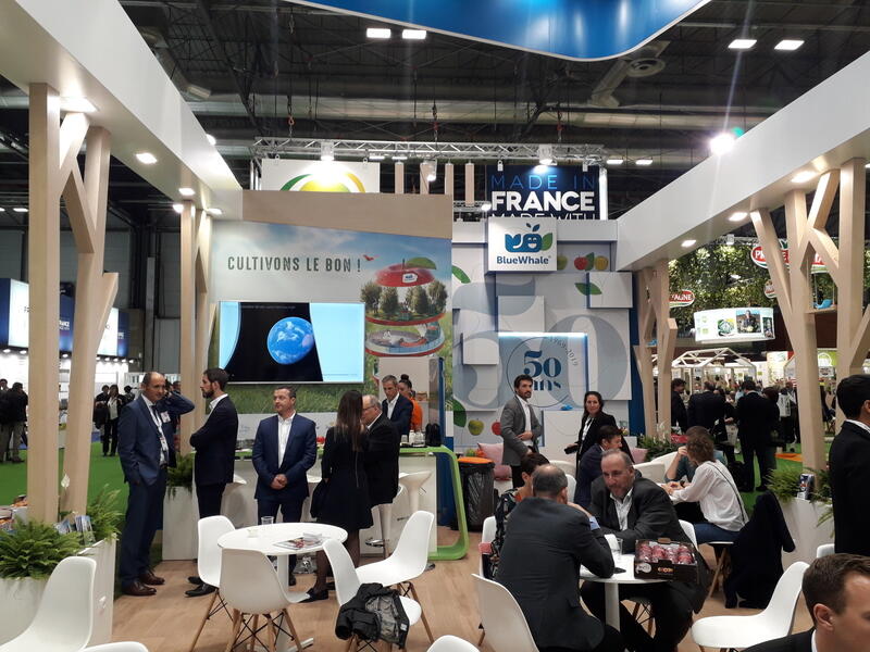 Et aussi | Blue Whale 100 % HVE dans un an | Réussir fruits & légumes