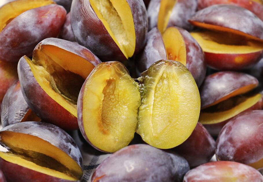 Début de campagne | La récolte de prunes françaises, amputée par le gel ...