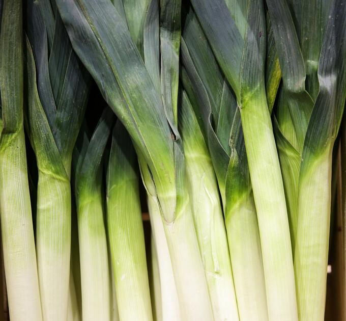 Poireau | Réussir fruits & légumes