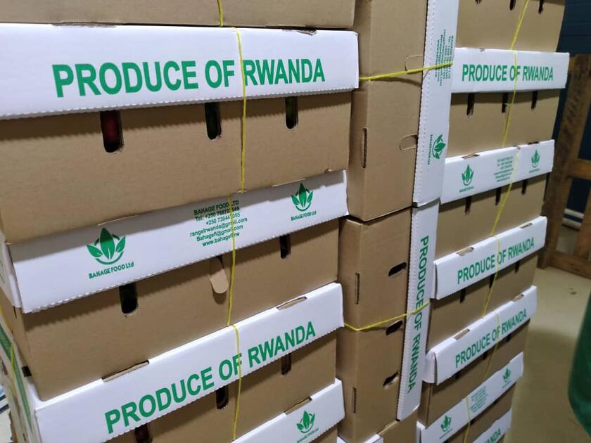 Rwanda : un marché de gros fruits et légumes en 2024 | Réussir fruits ...