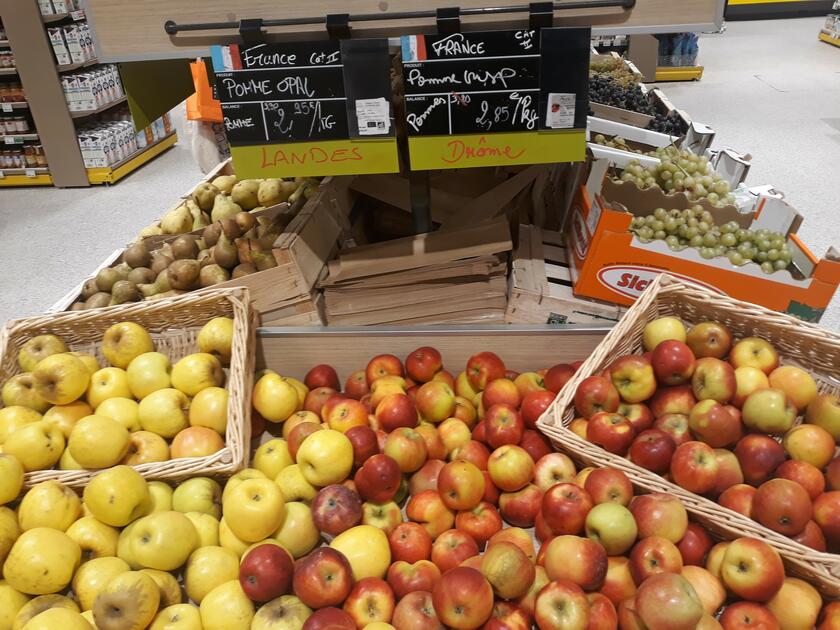 Pomme bio : les producteurs italiens et français réfléchissent sur leur ...