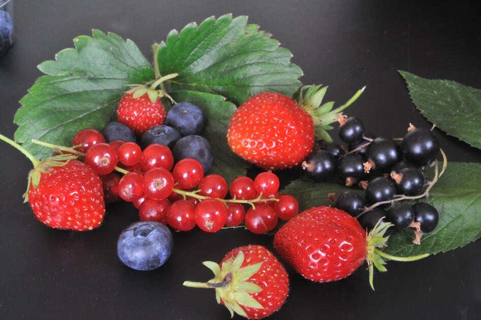 Petits fruits rouges : le name and shame des producteurs britanniques ...