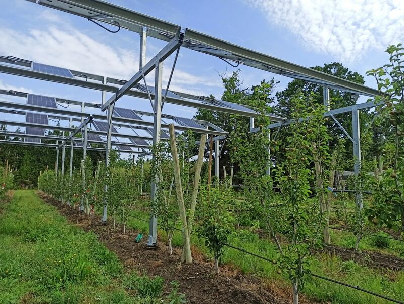 Agrivoltaïsme : quels avantages et inconvénients pour les cultures de ...