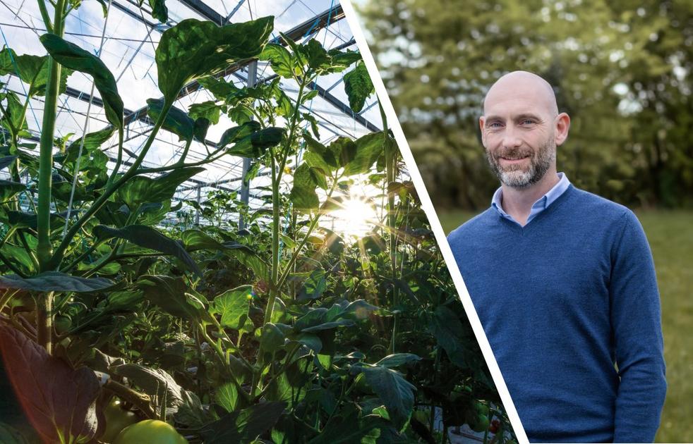 Ronan Collet, nouveau président de Solarenn : « L’adaptation au ...