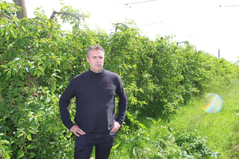 « En bio, nous découvrons de nouveaux insectes » | Réussir fruits & légumes