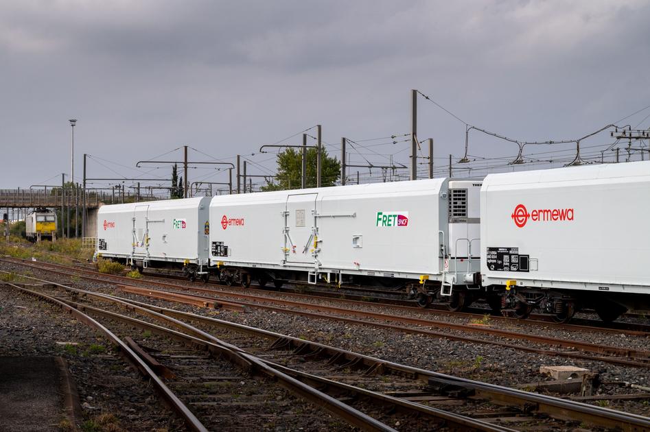 Rungis : à qui la Semmaris a-t-elle attribué la concession du futur ...