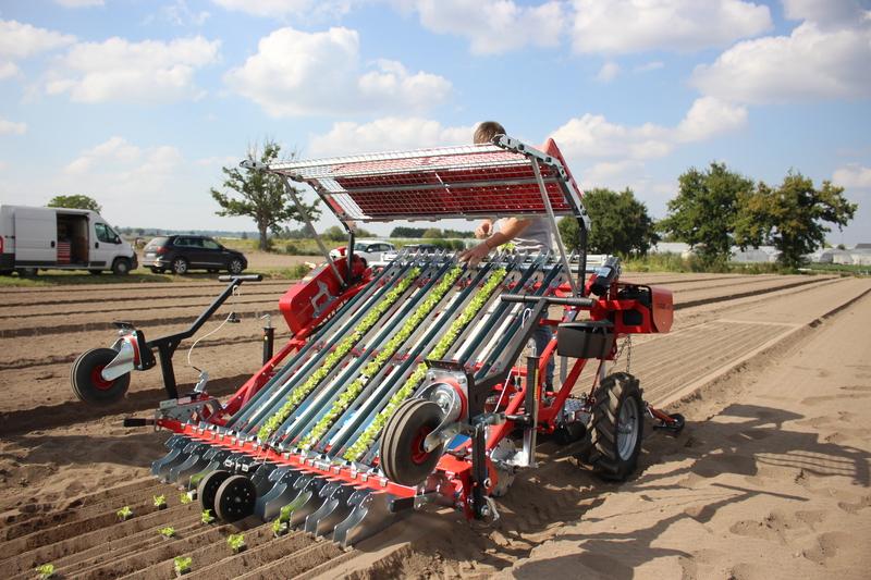 7 machines pour la plantation des légumes | Réussir fruits & légumes