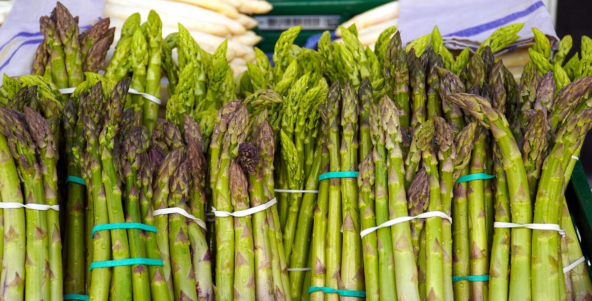Espagne : la saison des asperges vertes bat son plein, entre inquiétude ...