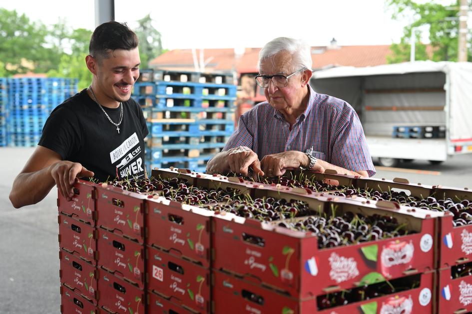 Expéditeurs exportateurs de fruits et légumes : « Nous sommes le bras ...