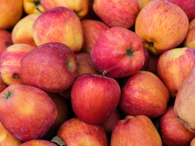 Pommes bio : le point par l’Association nationale pommes poires ...