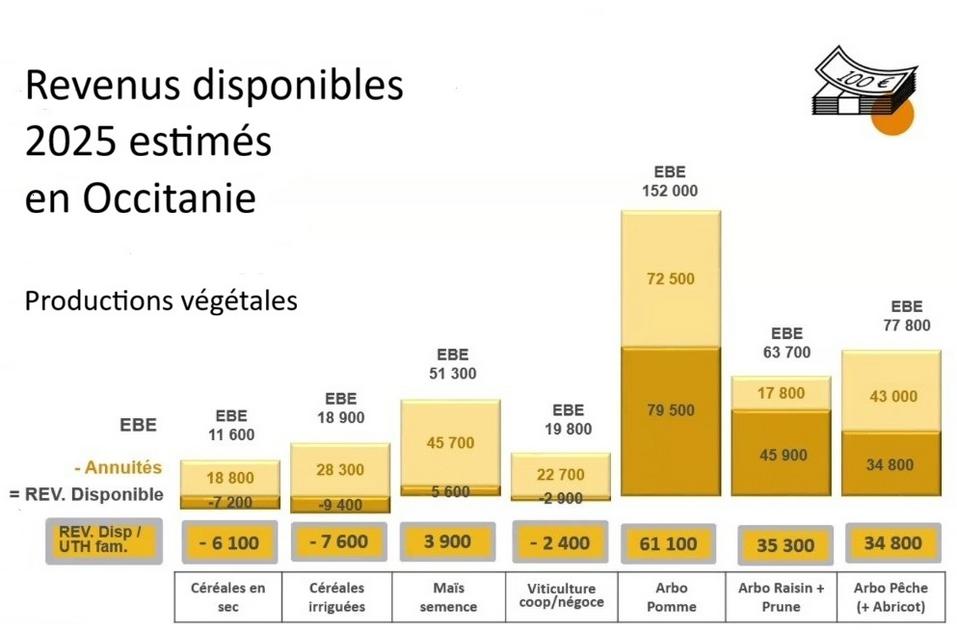 Occitanie : des prévisions de revenus 2025 plutôt favorables pour les ...