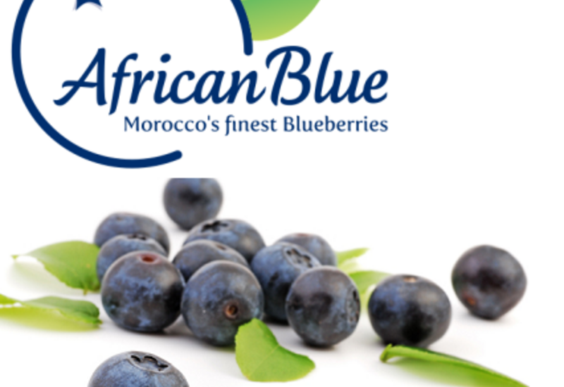 Maroc : African Blue sous pavillon australien | Réussir fruits & légumes