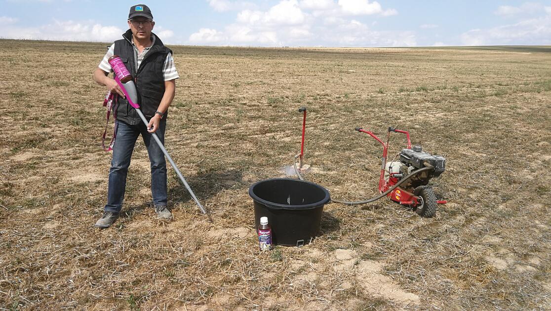 Lutte/campagnols des champs : la bromadiolone laisse place au phosphure ...