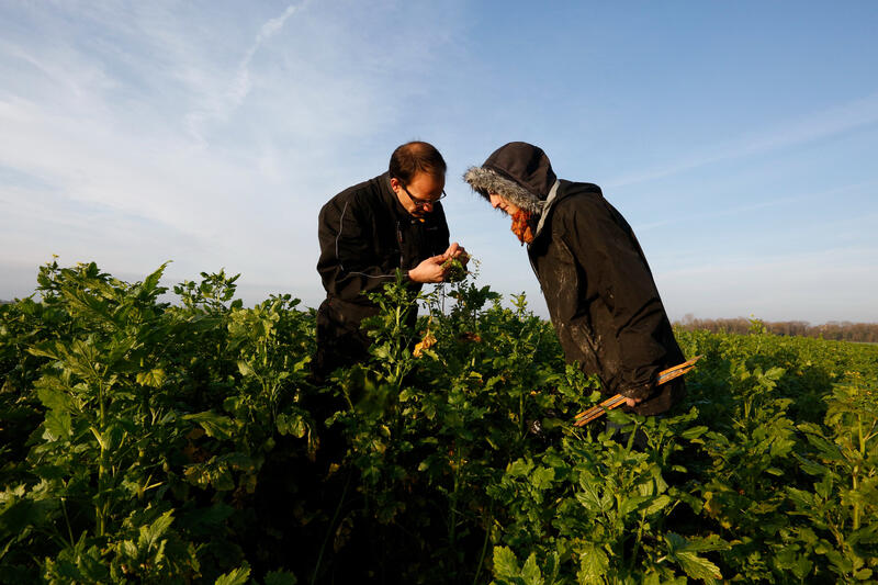 Crédits carbone : pourquoi les projets se multiplient en grandes ...