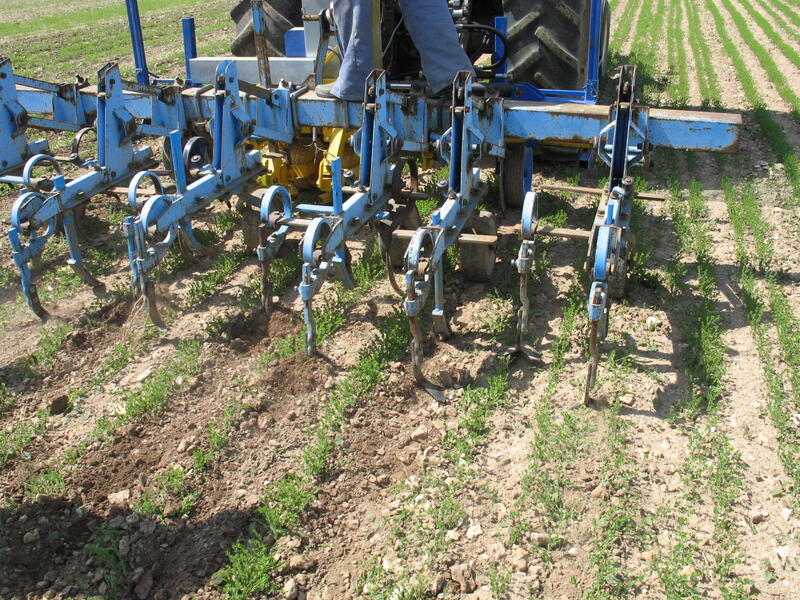 Conversion au bio en grandes cultures : est-ce encore rentable ...