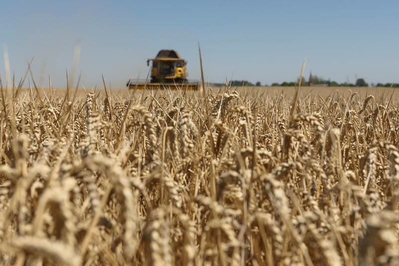 Moisson 2023 et prix des céréales : quelle stratégie adopter pour la vente de sa récolte ...