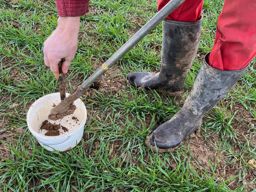 Fertilisation : cinq conseils pour bien réaliser ses reliquats azotés ...