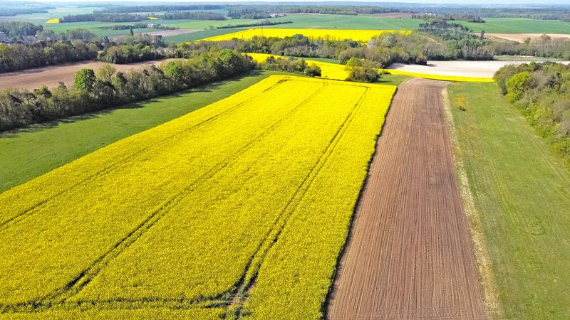 Échange de parcelles : comment le mettre en place en toute sécurité ...