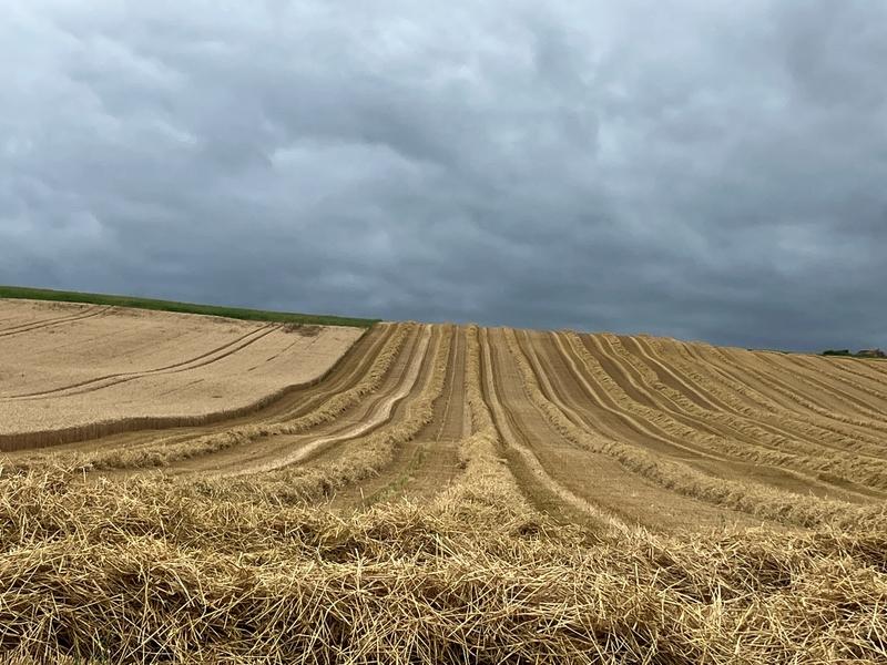 Moisson 2024 : le ministre de l'Agriculture évoque des aides ...