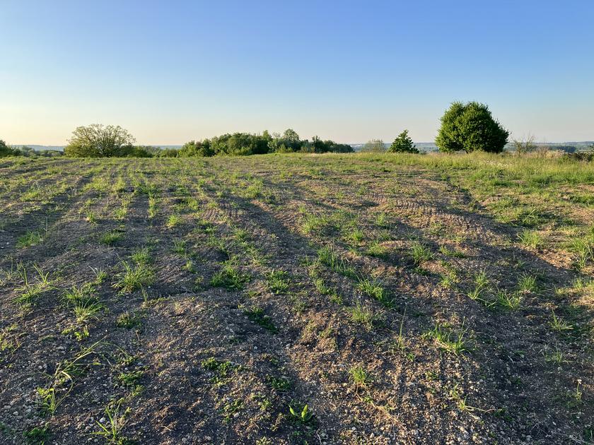 Telepac 2025 : mode d'emploi pour faire valoir son droit à l’erreur ...