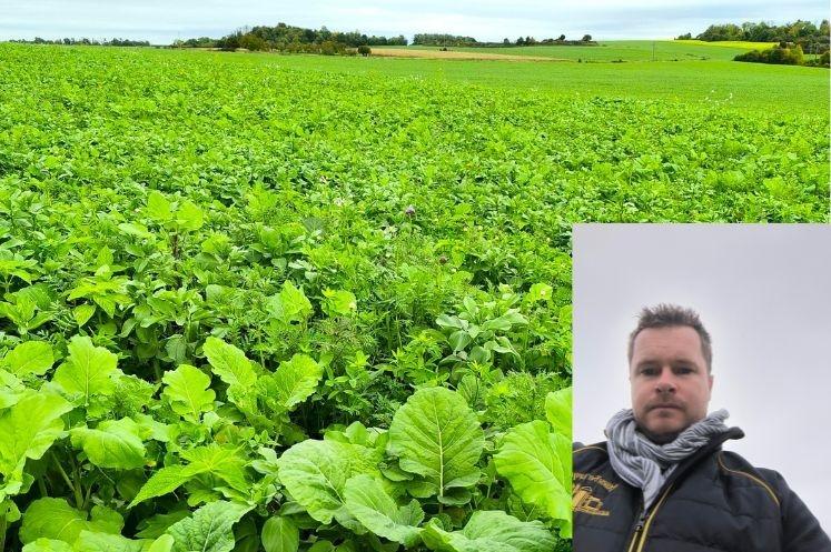 Jachère : « J’ai décidé d’augmenter ma surface non cultivée sur mon ...
