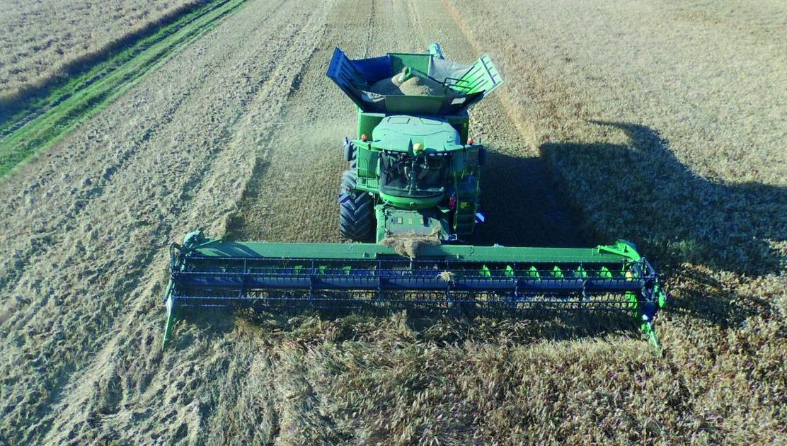 Début de moisson en Île-de-France | horizons