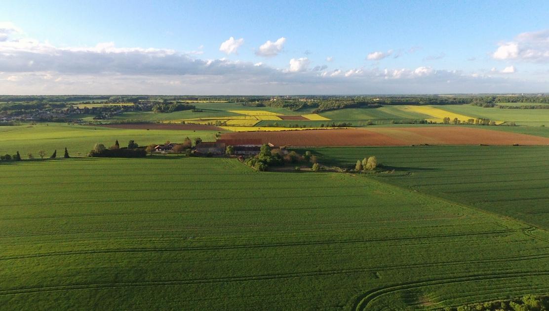 Pac 2025 : nouvelle possibilité pour répondre à la BCAE 7 | horizons