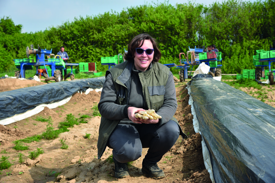 À Ablis, la famille Perrot-Léquippé redonne vie aux asperges de Simon ...